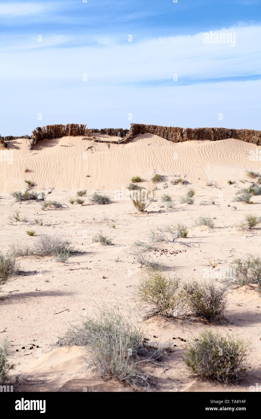 Roadside soil stabilization and protect zone from the sand of desert ...