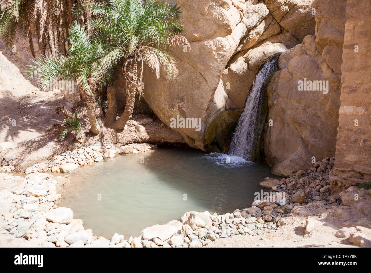 Small waterfall in mountain oasis the Chebika at border of Sahara ...