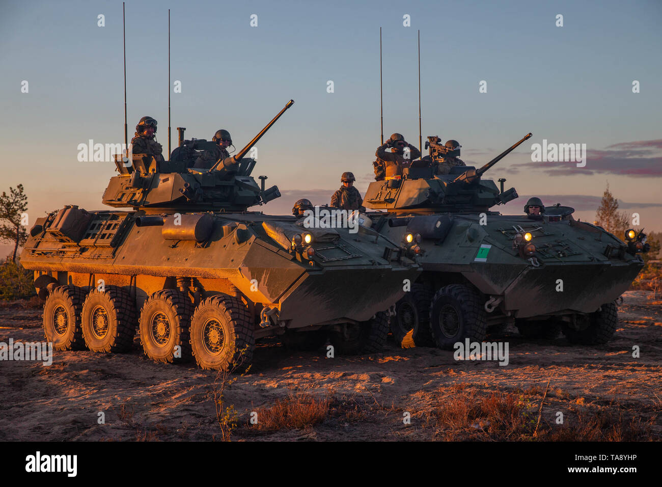 2nd light infantry battalion hi-res stock photography and images - Alamy