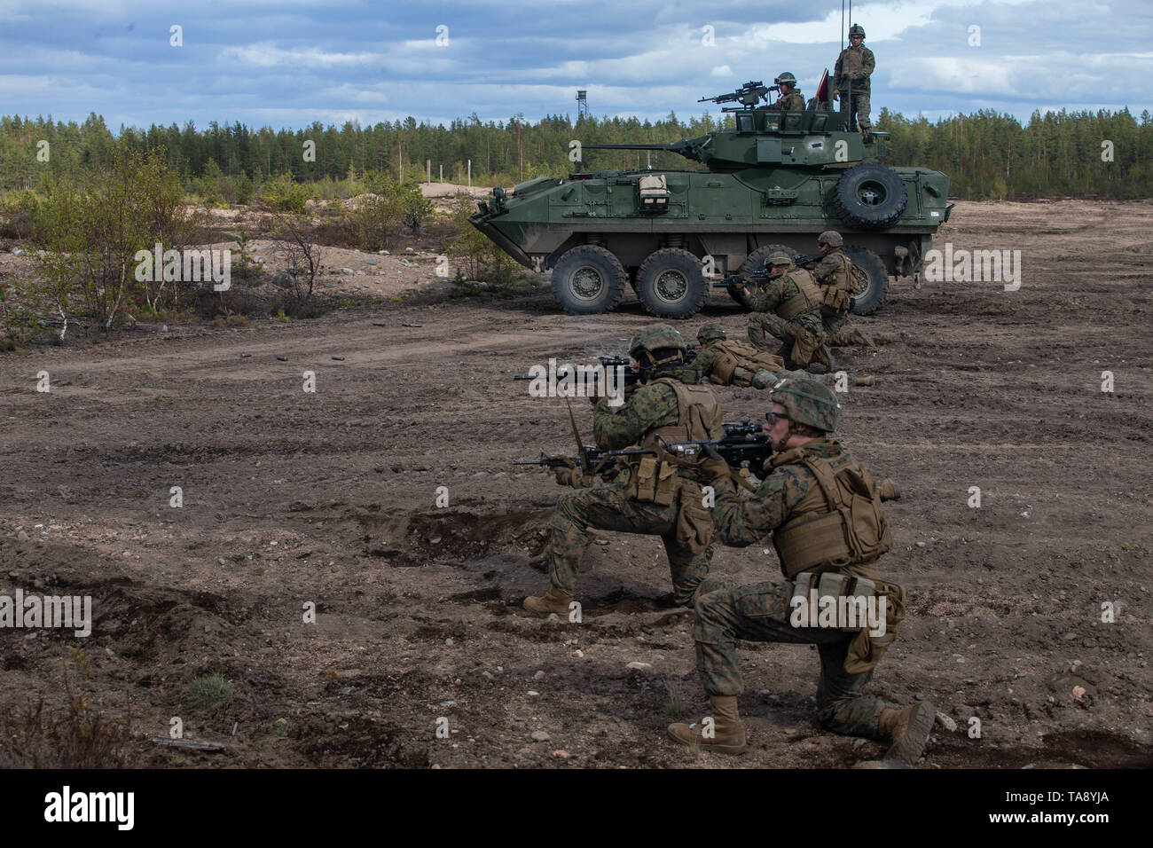 U.S. Marines with 2nd Light Armored Reconnaissance Battalion, 2nd ...