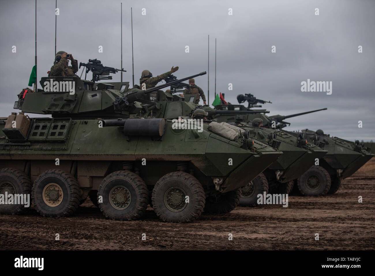 2nd light infantry battalion hi-res stock photography and images - Alamy