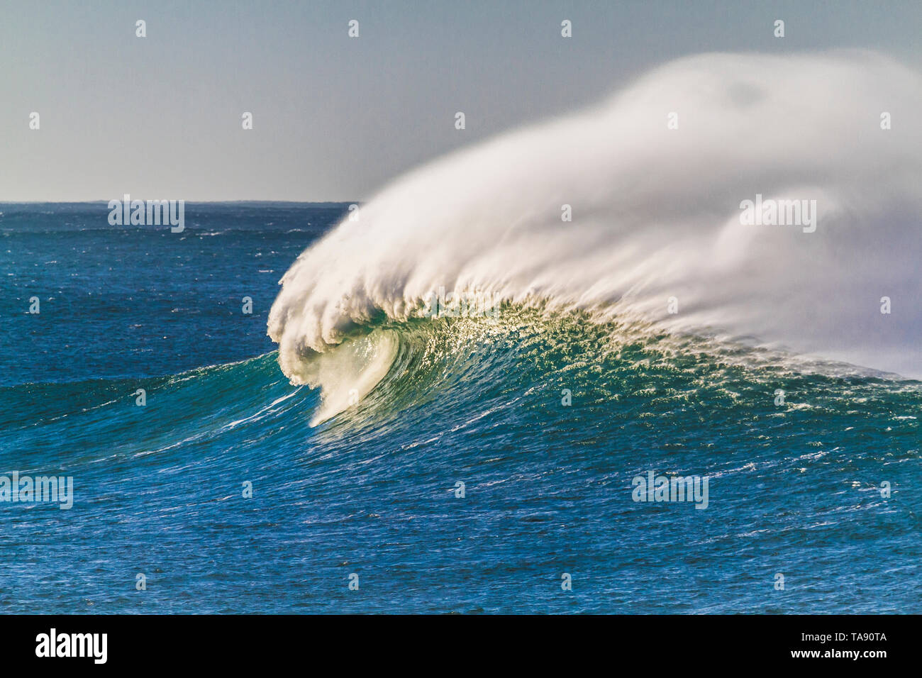 Large windblown wave breaking out to sea Stock Photo - Alamy