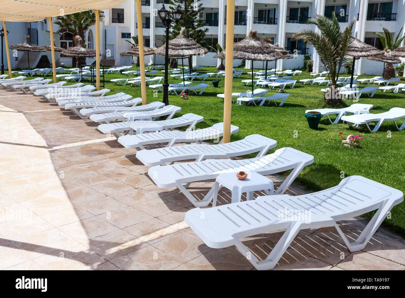 Empty white plastic sunbeds arranged in line in a hotel lounge under ...