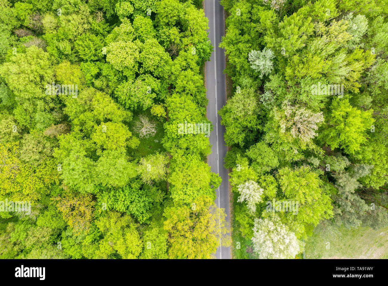 Aerial view of long road cutting through forest Stock Photo - Alamy