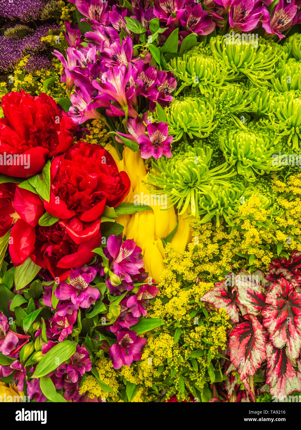 Beautifully designed gardens with plants and variegated flower ...