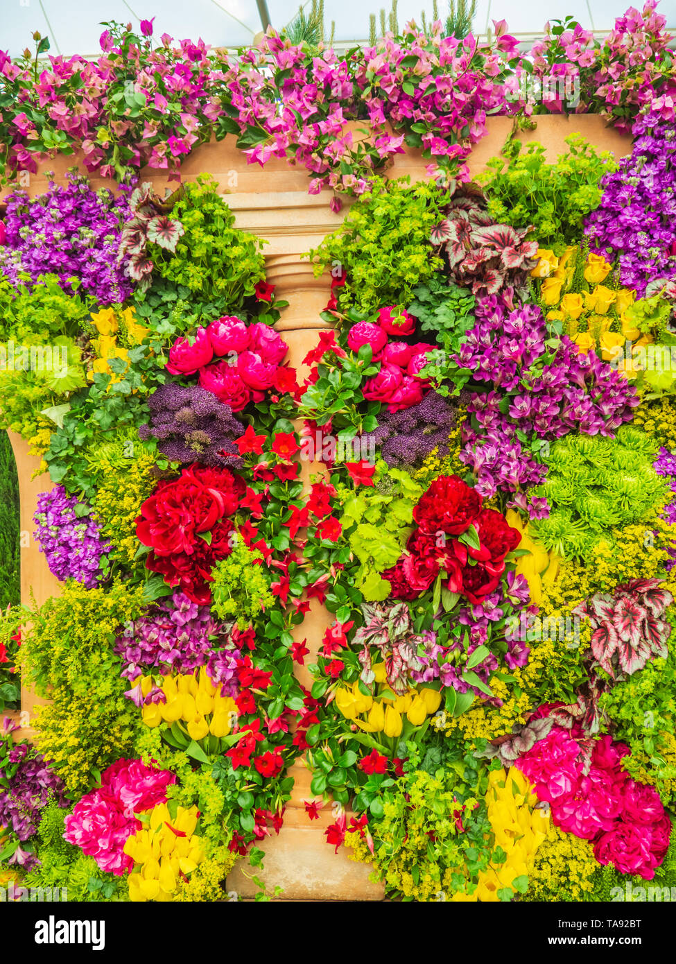 Beautifully designed gardens with plants and variegated flower ...