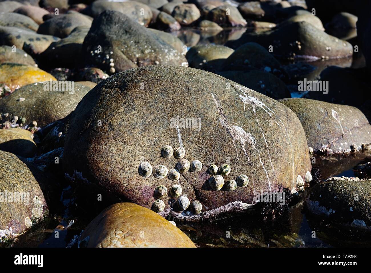 Rust And Gray Rocks High Resolution Stock Photography and Images - Alamy