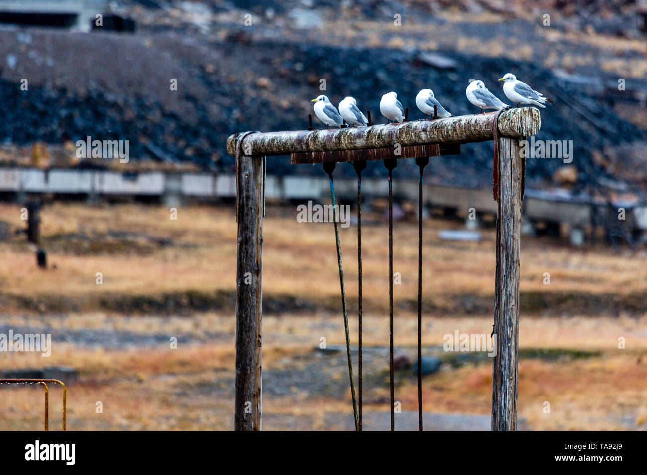 The sudden abandoned russian mining town Pyramiden. coal mine alongside ...
