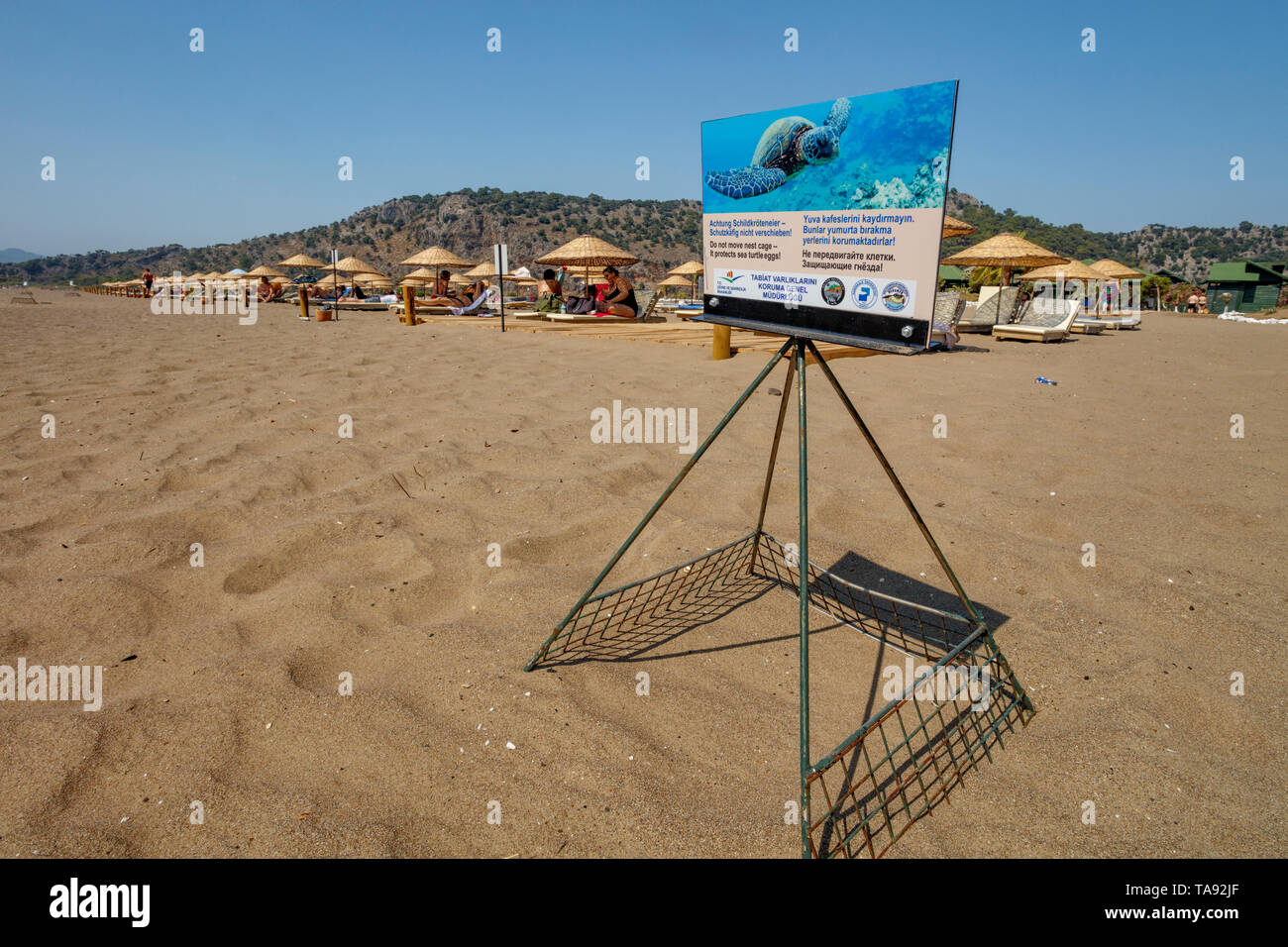 Protective nest cage for sea turtle eggs, Iztuzu Beach, Dalyan, Mugla ...