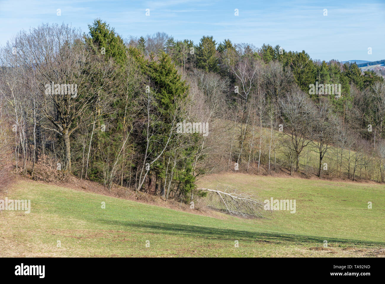 Pressed down hi-res stock photography and images - Alamy