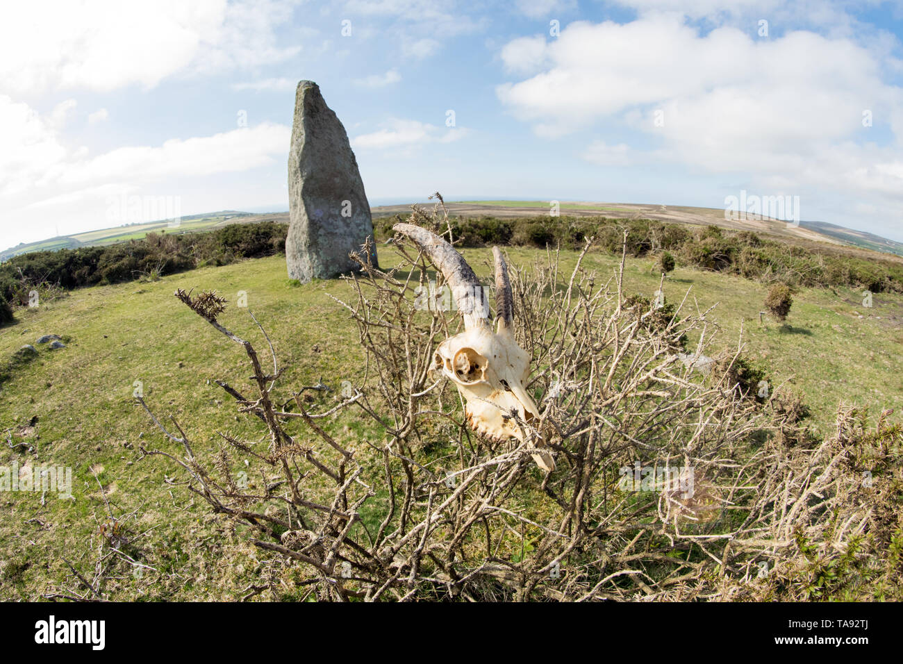 Baphomet hi-res stock photography and images - Alamy