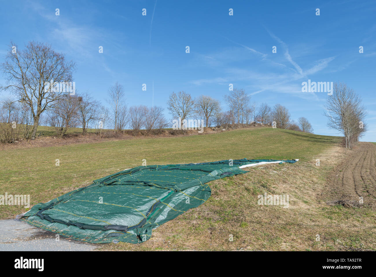 Covered silo with silage in spring, Germany Stock Photo - Alamy