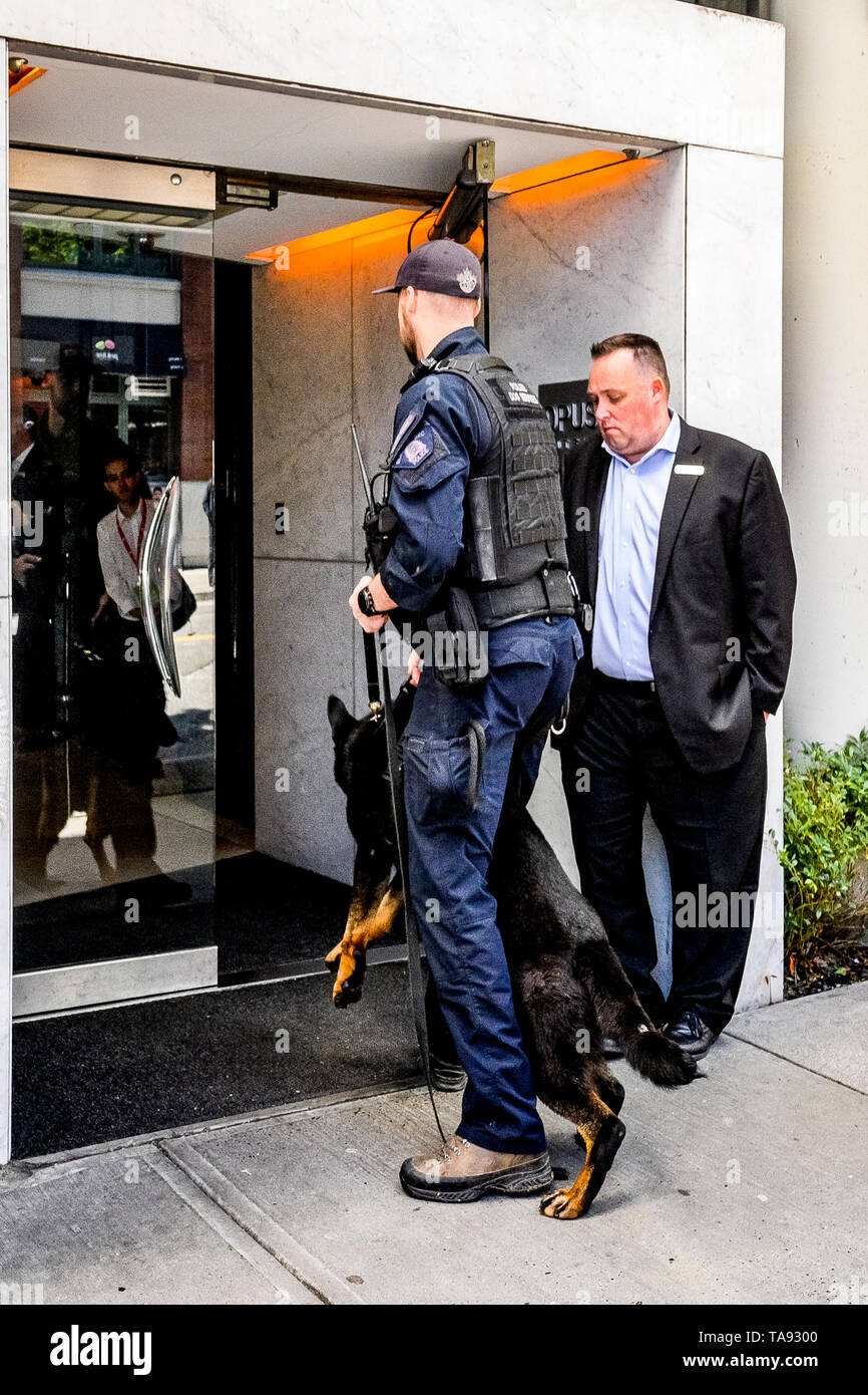 Vpd canine unit hi-res stock photography and images - Alamy