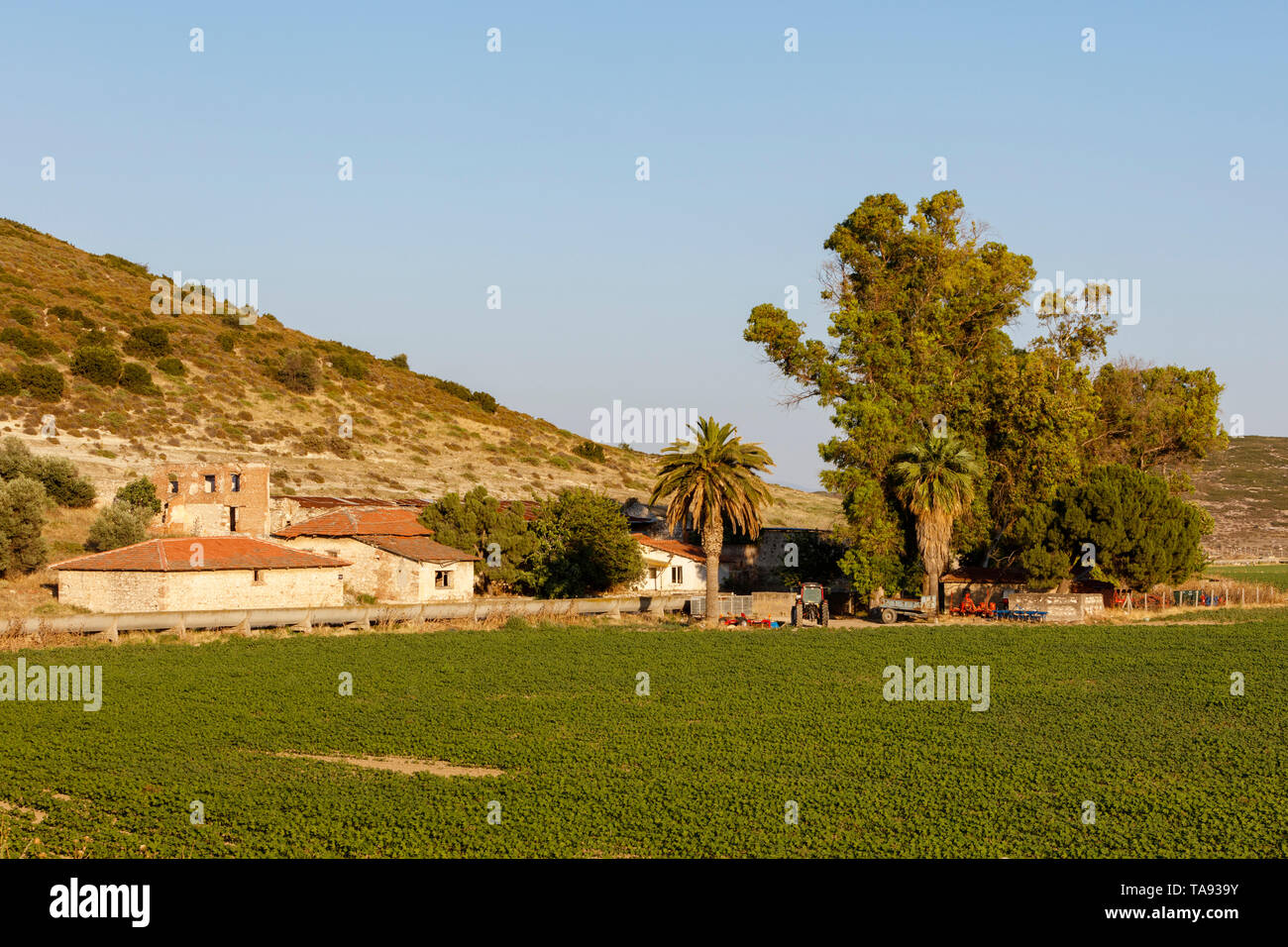 Farm buildings, Izmir, Turkey Stock Photo - Alamy