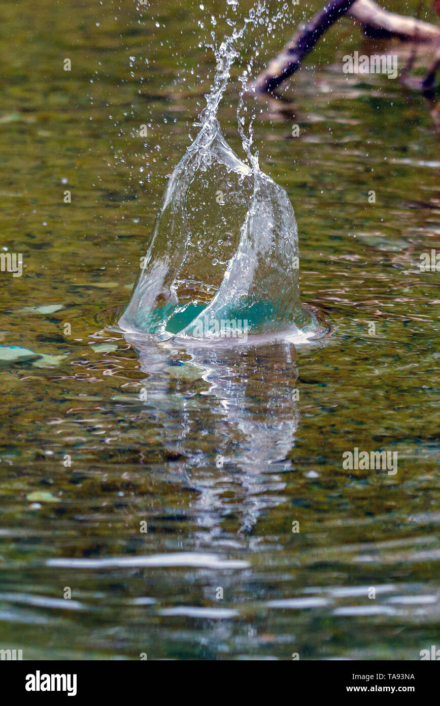 Water splash in nature lake. Abstract background Stock Photo - Alamy