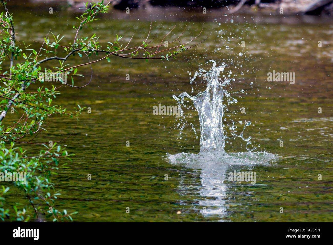 Water splash in nature lake. Abstract background Stock Photo - Alamy