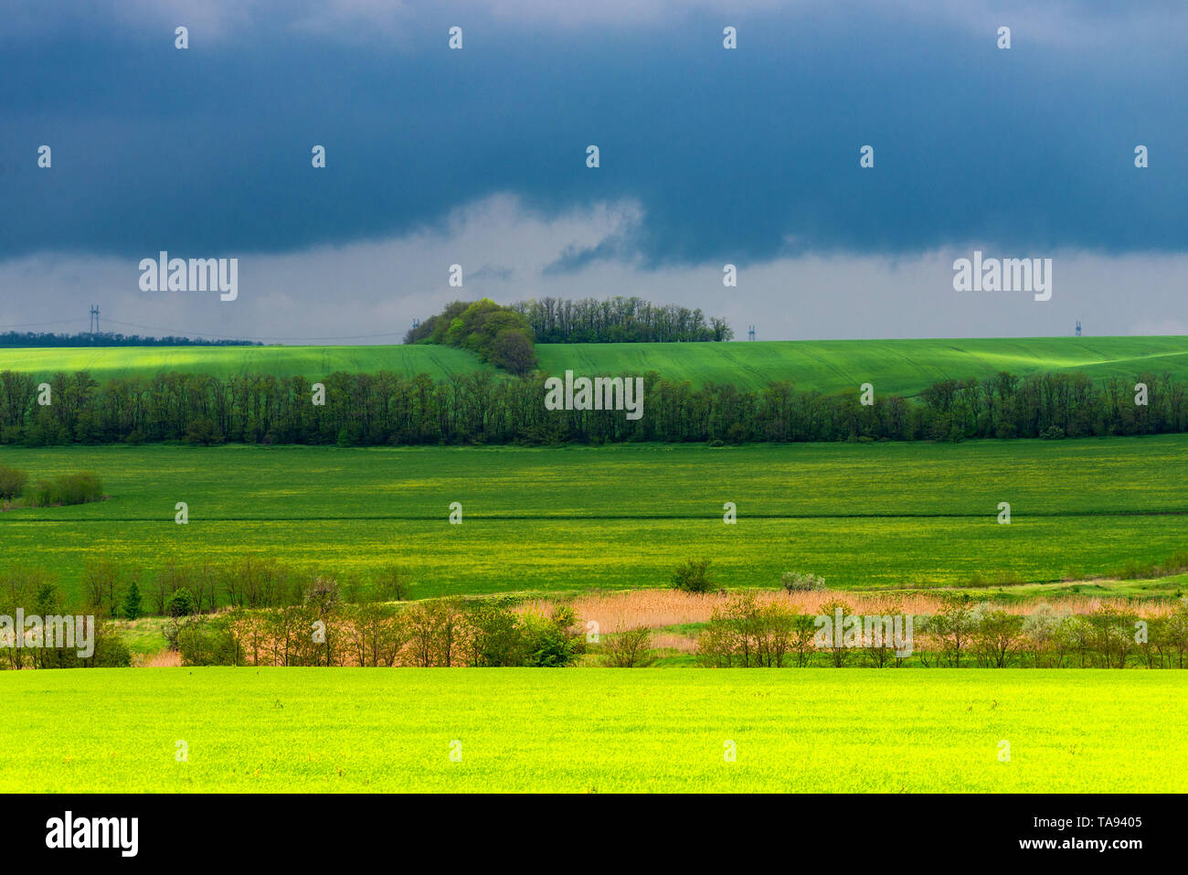 Beautiful sunset, green and yellow field. Dramatic sky with clouds ...