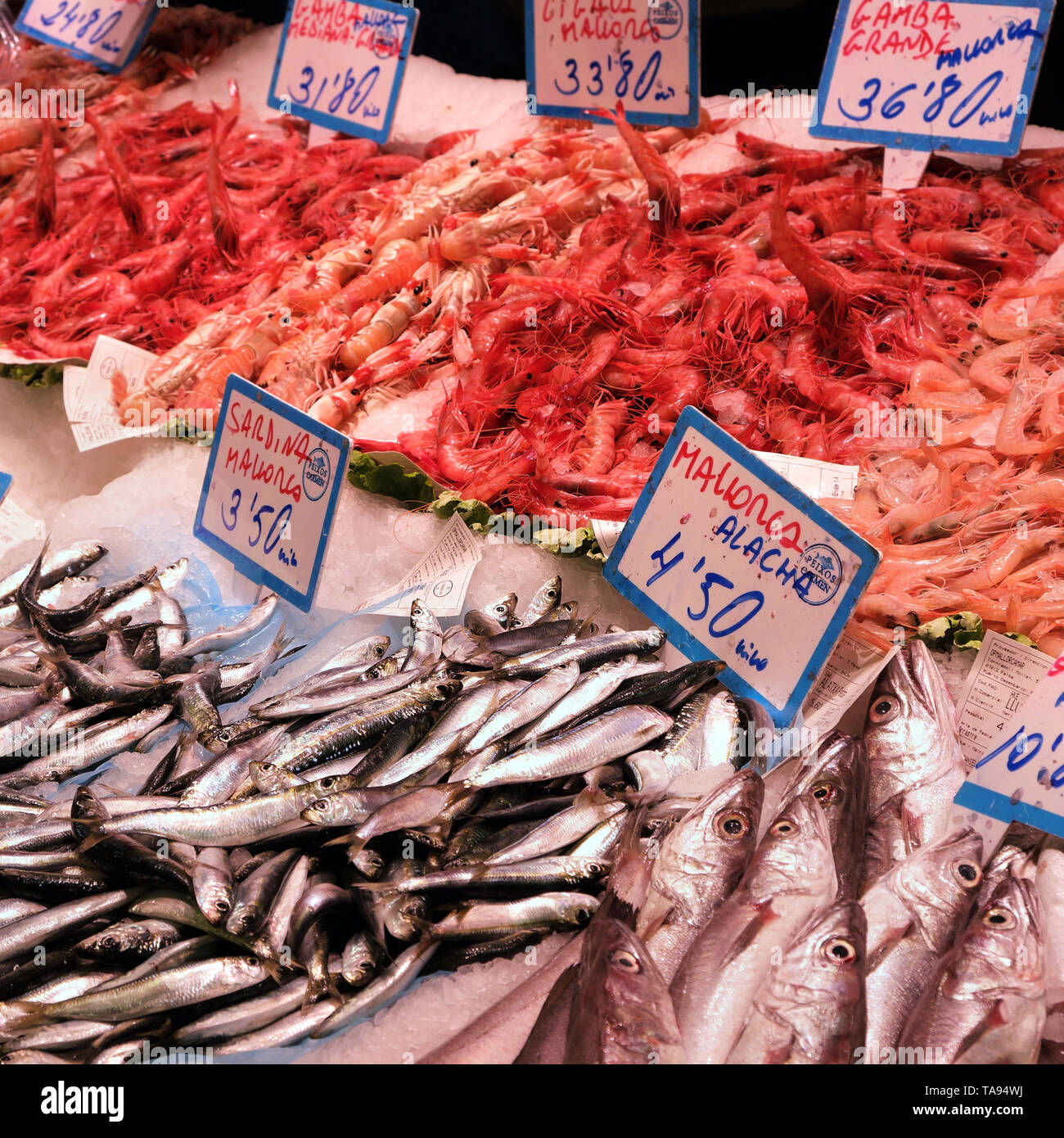 Palma Mallorca, Spain - March 20, 2019 : fresh fish and seafood display ...
