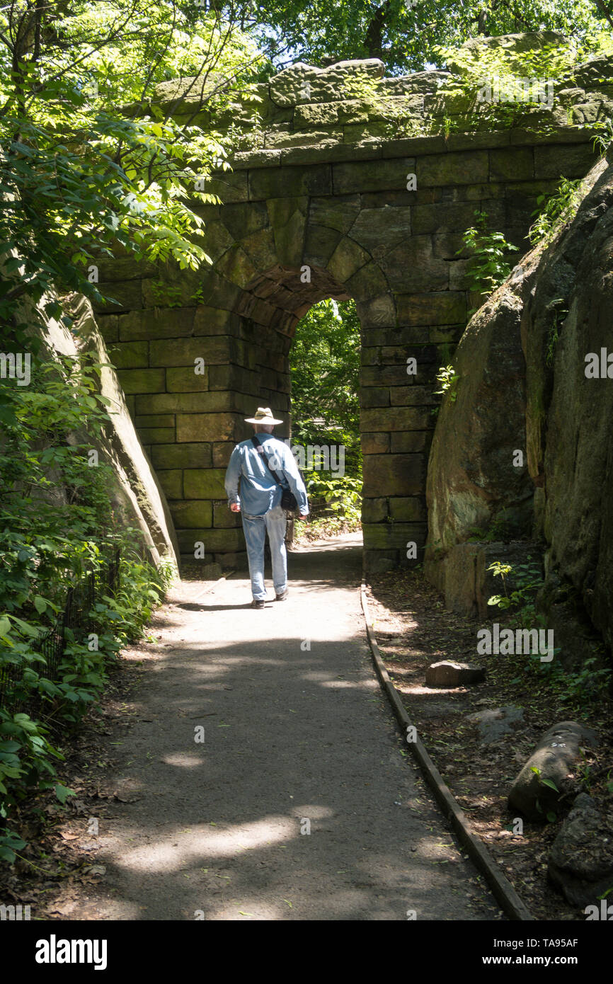 Man Walking Down Path in the Ramble in Central Park, NYC, USA Stock ...