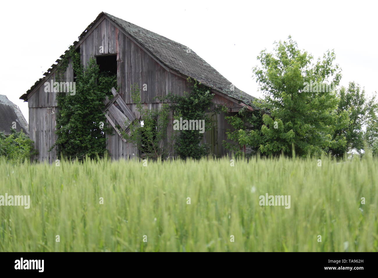 Livery barn hi-res stock photography and images - Alamy
