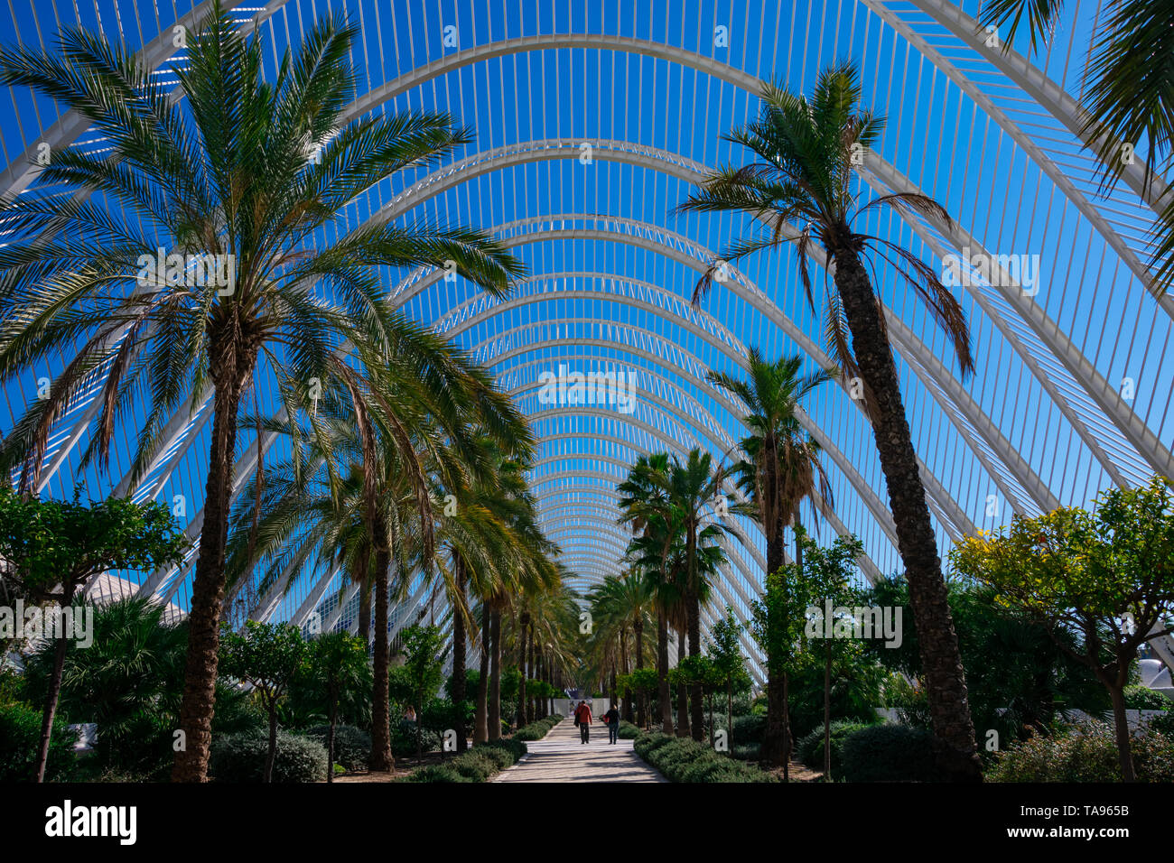 Umbracle Umbracle L High Resolution Stock Photography and Images - Alamy