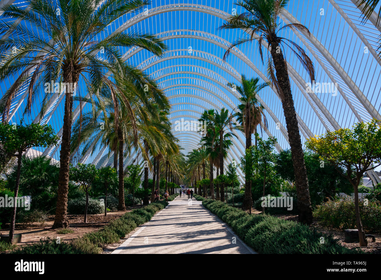 Umbracle Umbracle L High Resolution Stock Photography and Images - Alamy