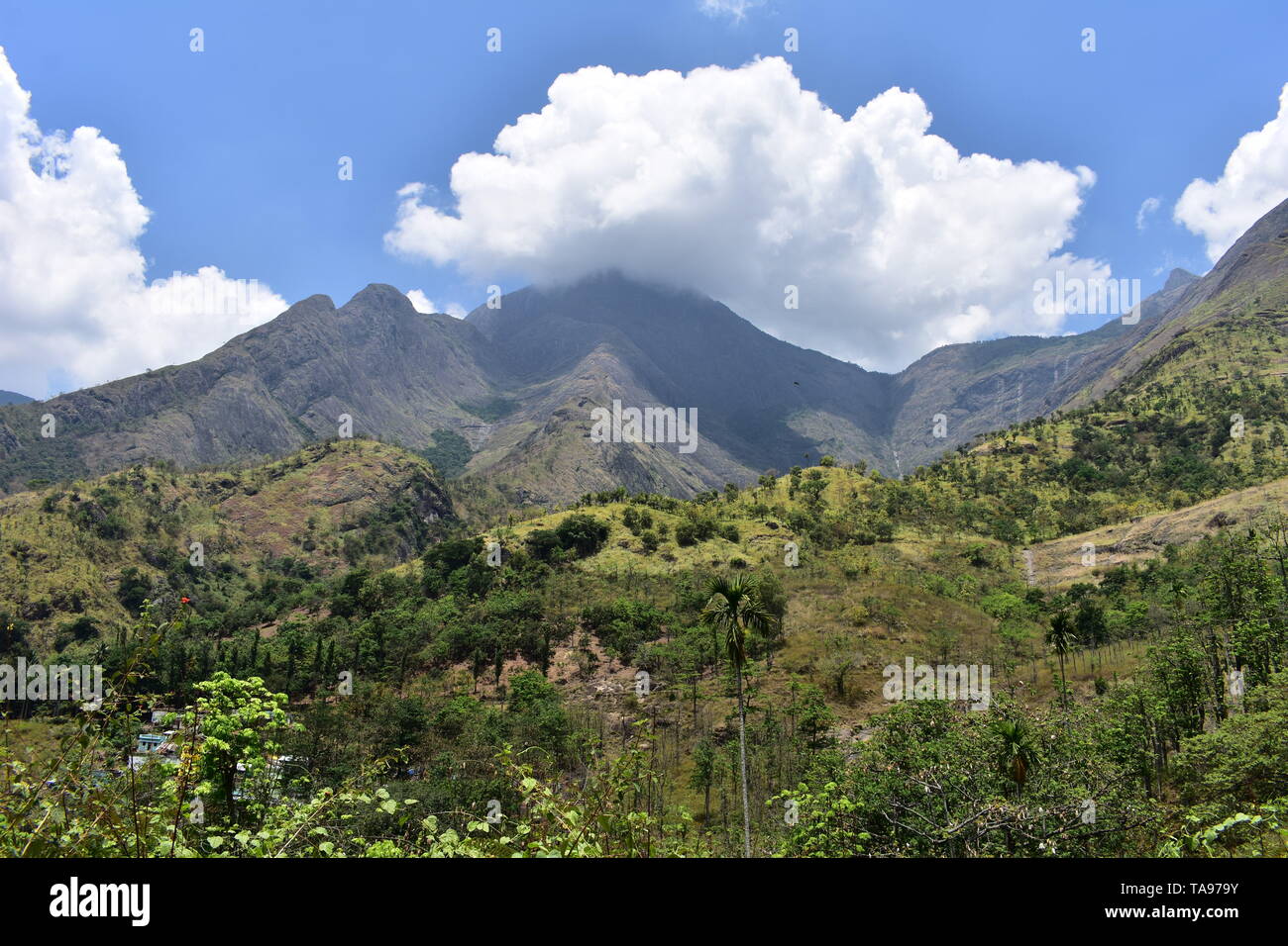 Kurangani hills trekking hi-res stock photography and images - Alamy