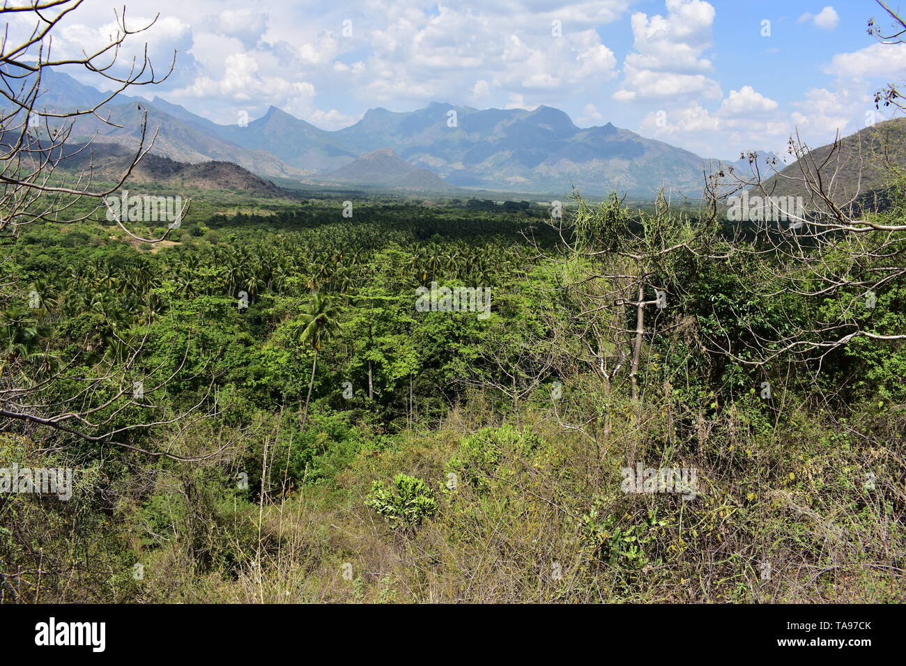 Kurangani hills trekking hi-res stock photography and images - Alamy