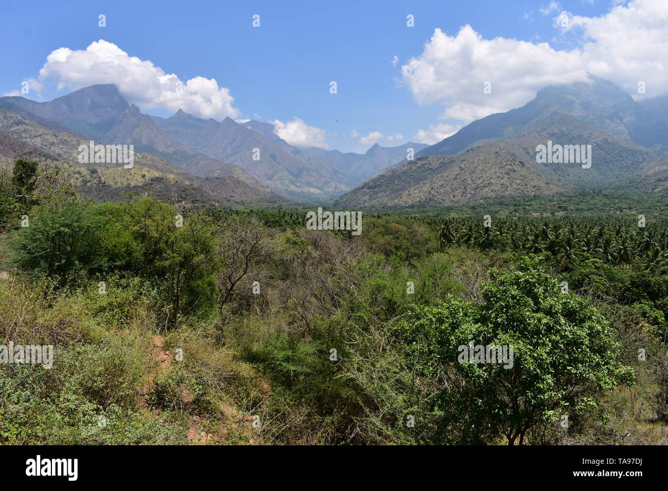Kurangani In Tamil Nadu – The Hidden Beauty Of The Western Ghats Stock ...