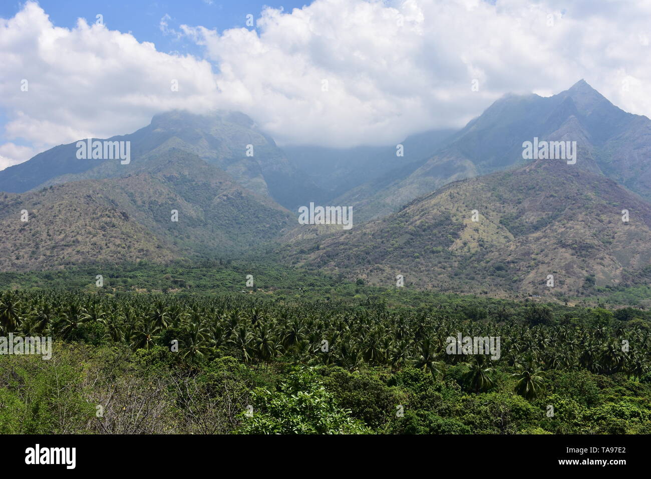 Kurangani hills trekking hi-res stock photography and images - Alamy