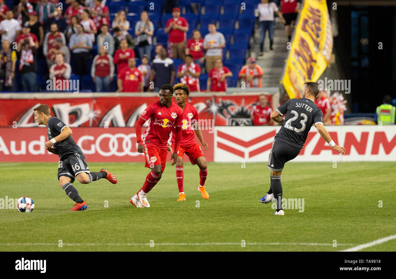 Draw bull hi-res stock photography and images - Alamy