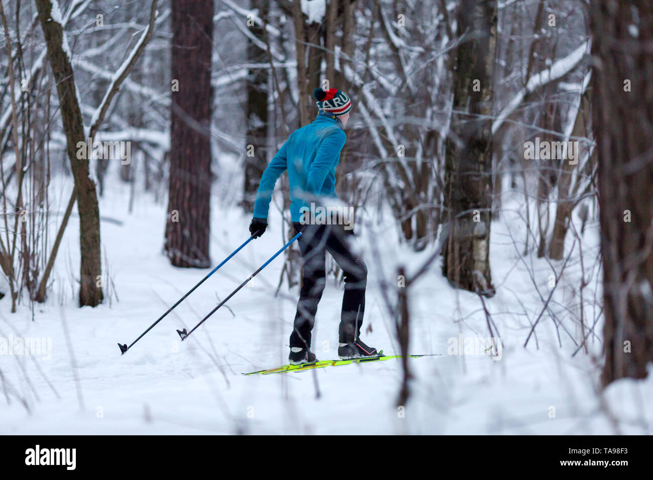 Photo from back of male skier in forest in winter Stock Photo - Alamy