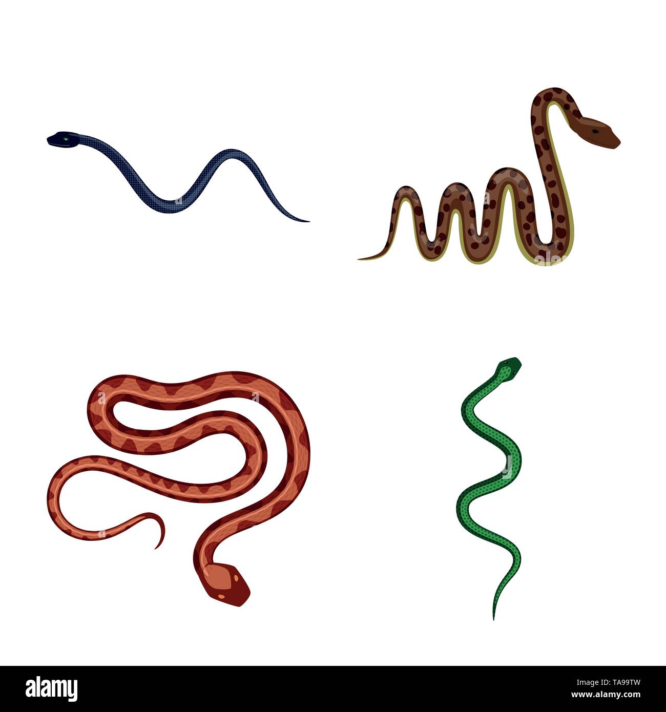 snake,viper,tail,python,spiral,jungle,forest,large,seamless,leather ...