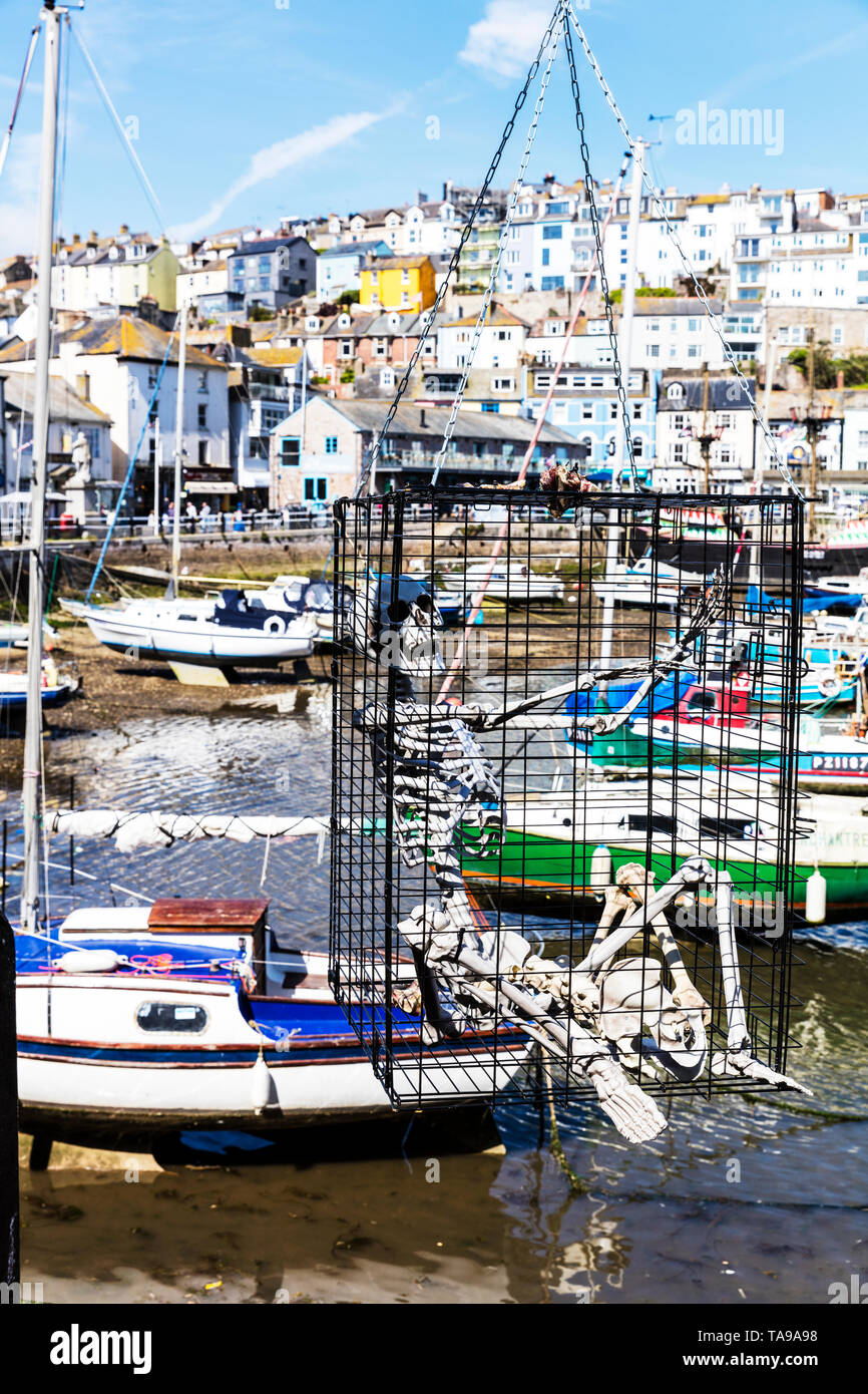 Body skeleton hi-res stock photography and images - Alamy