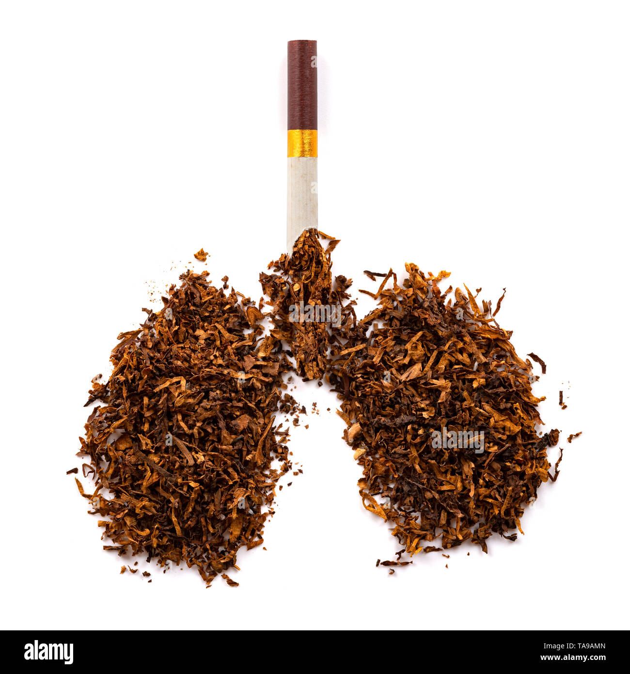 cigarette and tobacco shaped like a human lung concept of unhealthy ...