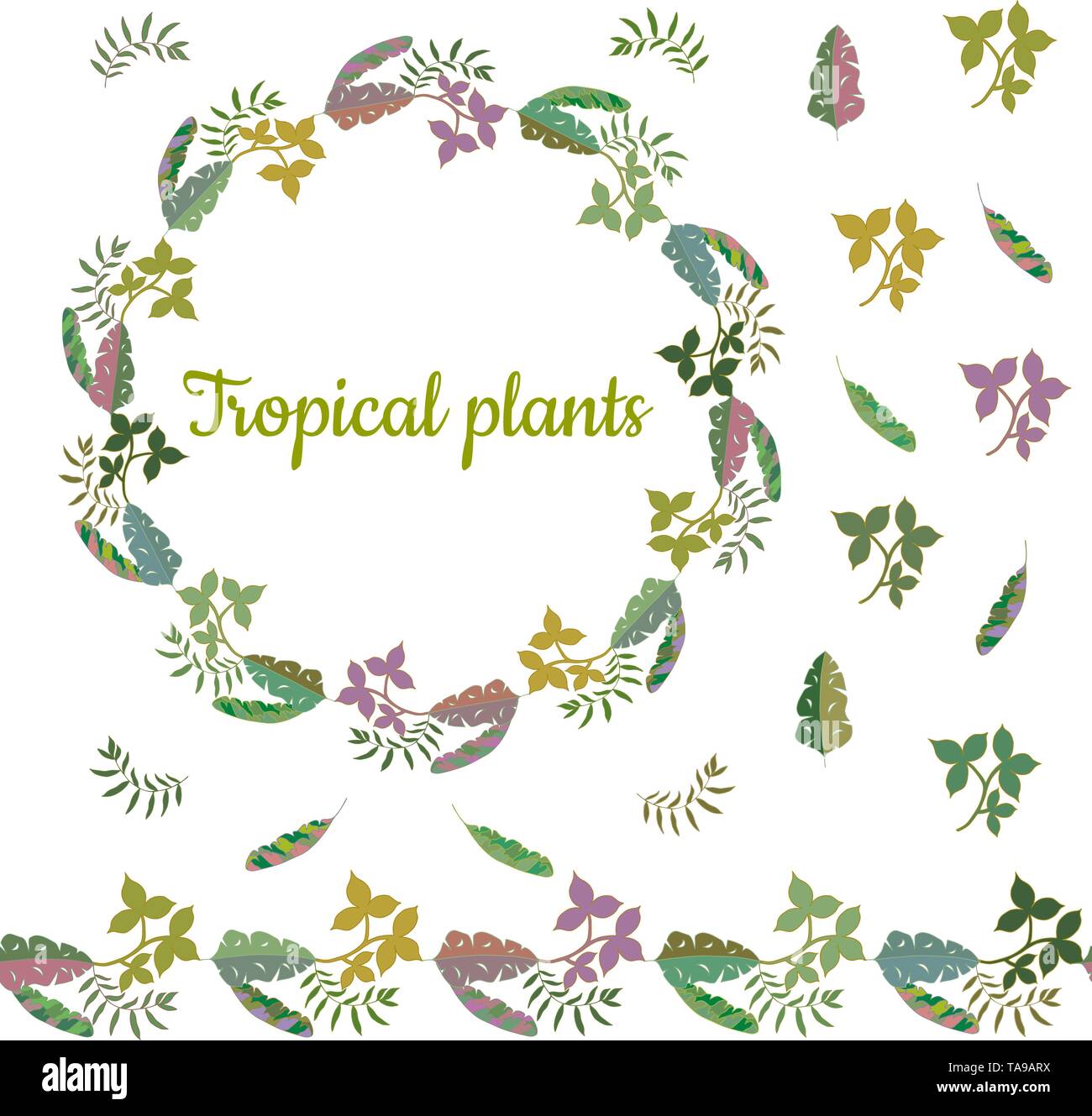 Colorful wreath made from different leaves of tropical plants. Endless ...