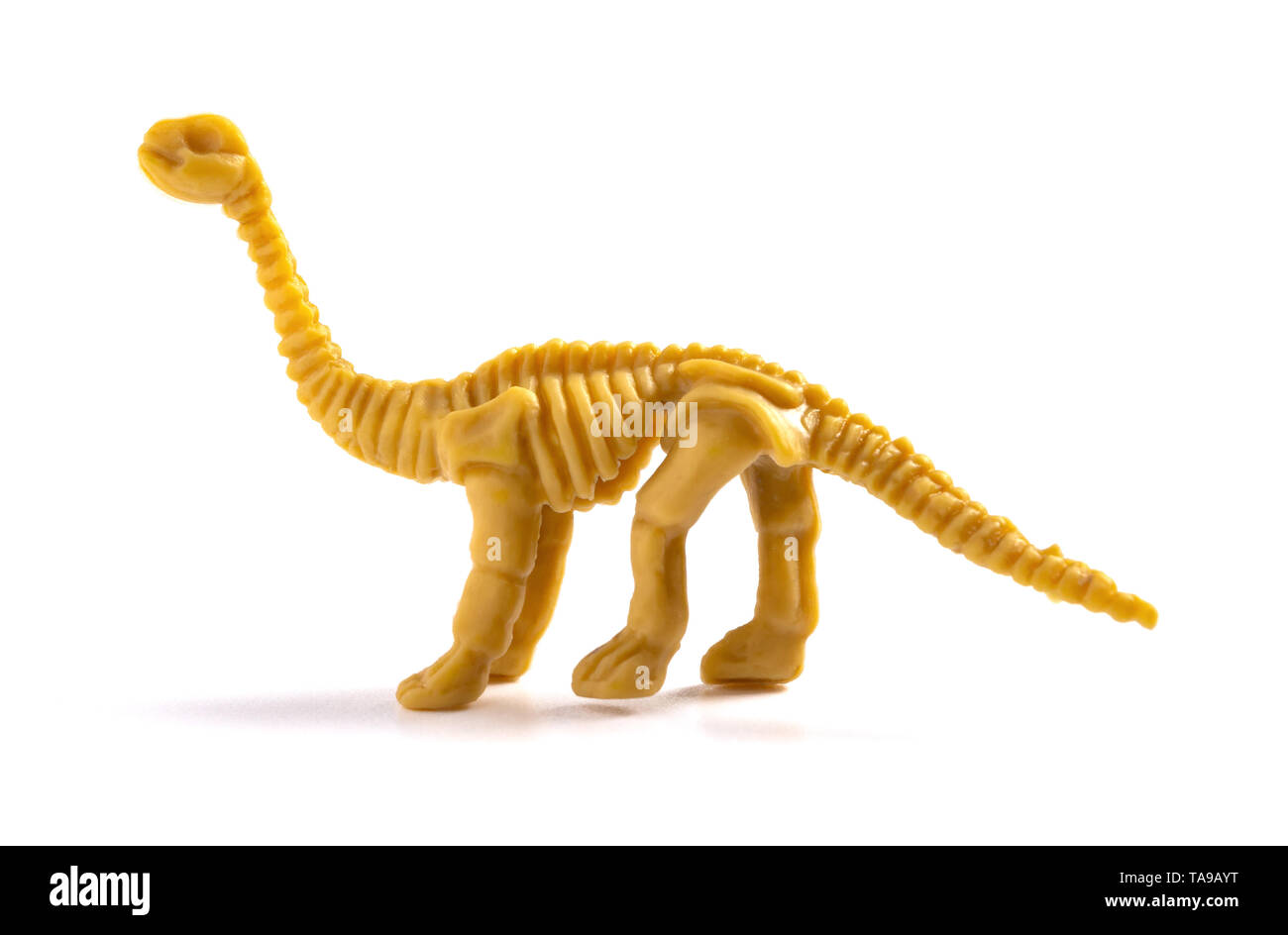 Diplodocus skeleton Cut Out Stock Images & Pictures - Alamy