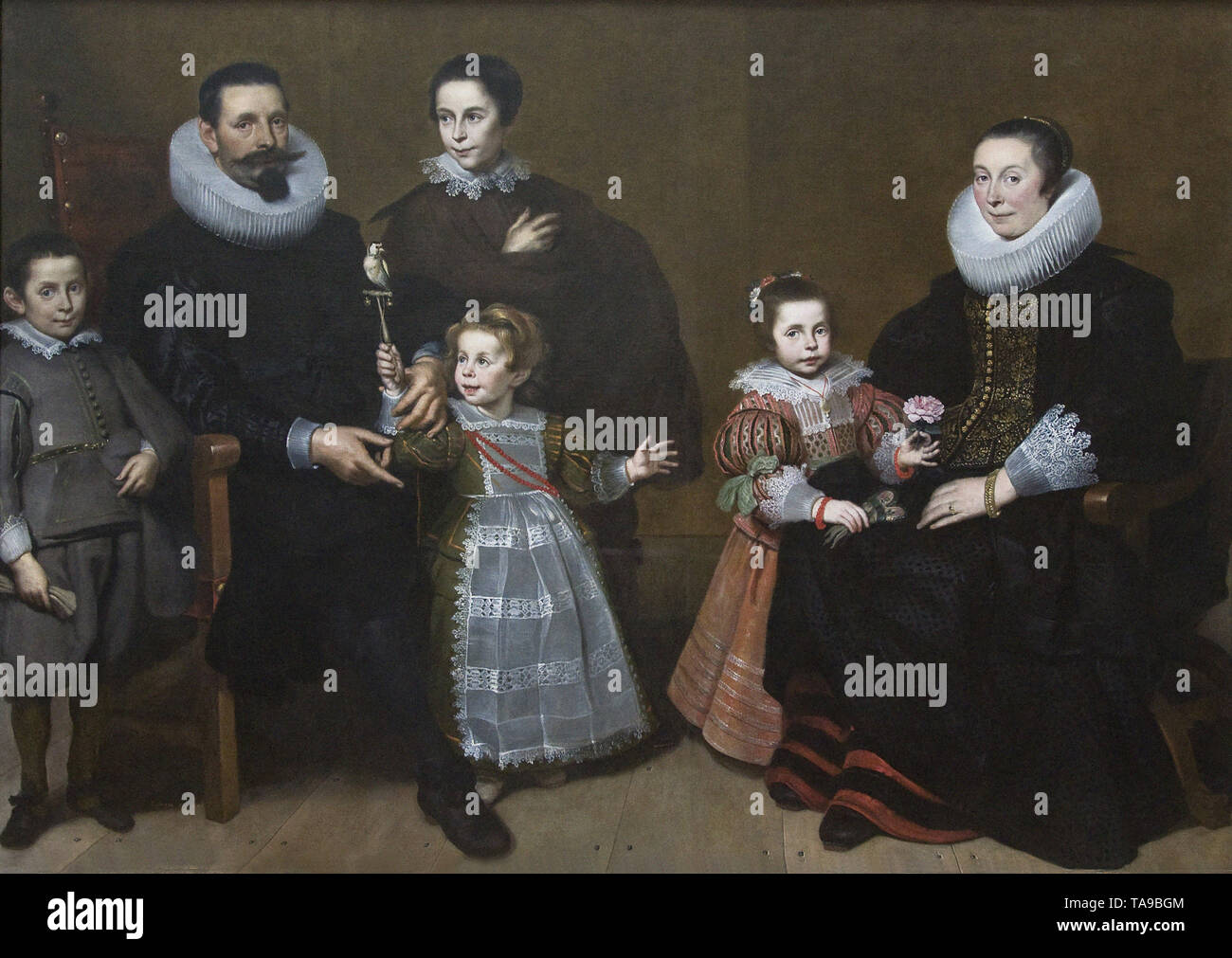 Vos family hi-res stock photography and images - Alamy