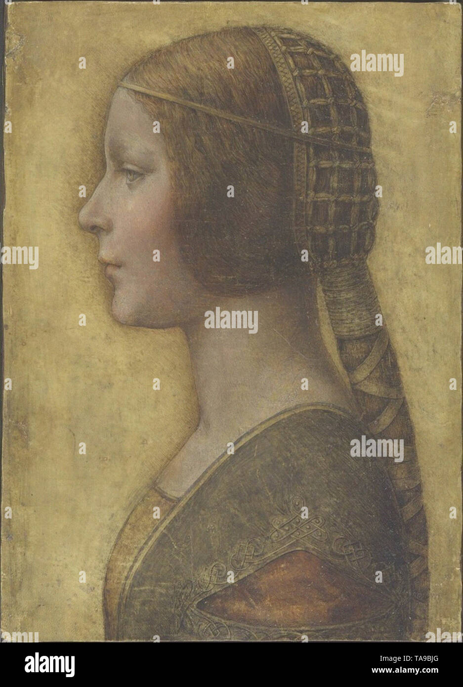 Leonardo Da Vinci - Profile Young Bride 1480 Stock Photo - Alamy