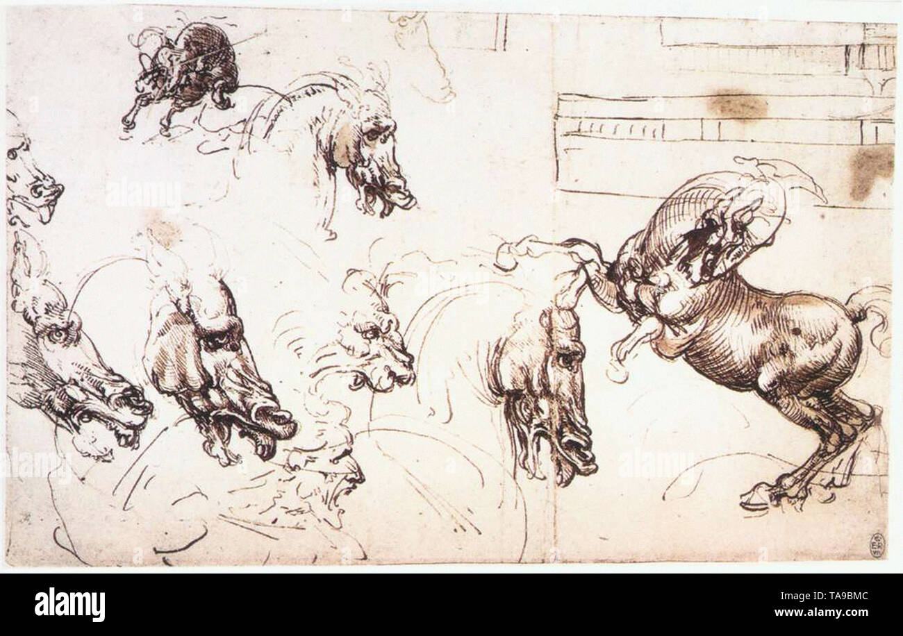 Leonardo Da Vinci - Study Horses Battle Anghiari C 1503 Stock Photo - Alamy