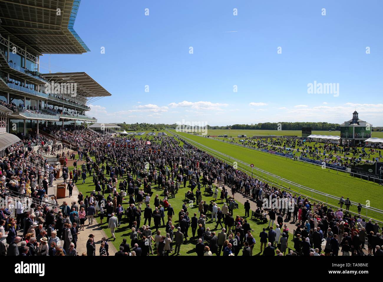 Horse racing york racecourse hi-res stock photography and images - Alamy