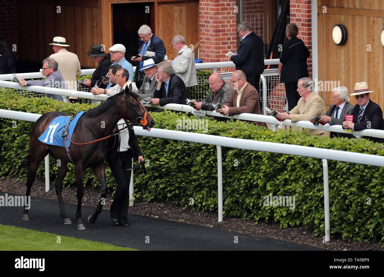 Lady fanditha in pre parade ring hi-res stock photography and images ...