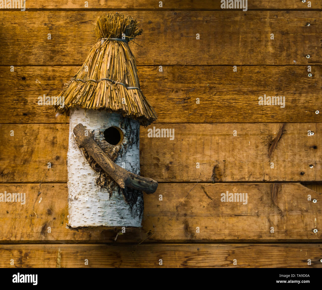 hand crafted bird house made out of a birch tree log, Bird home hanging ...