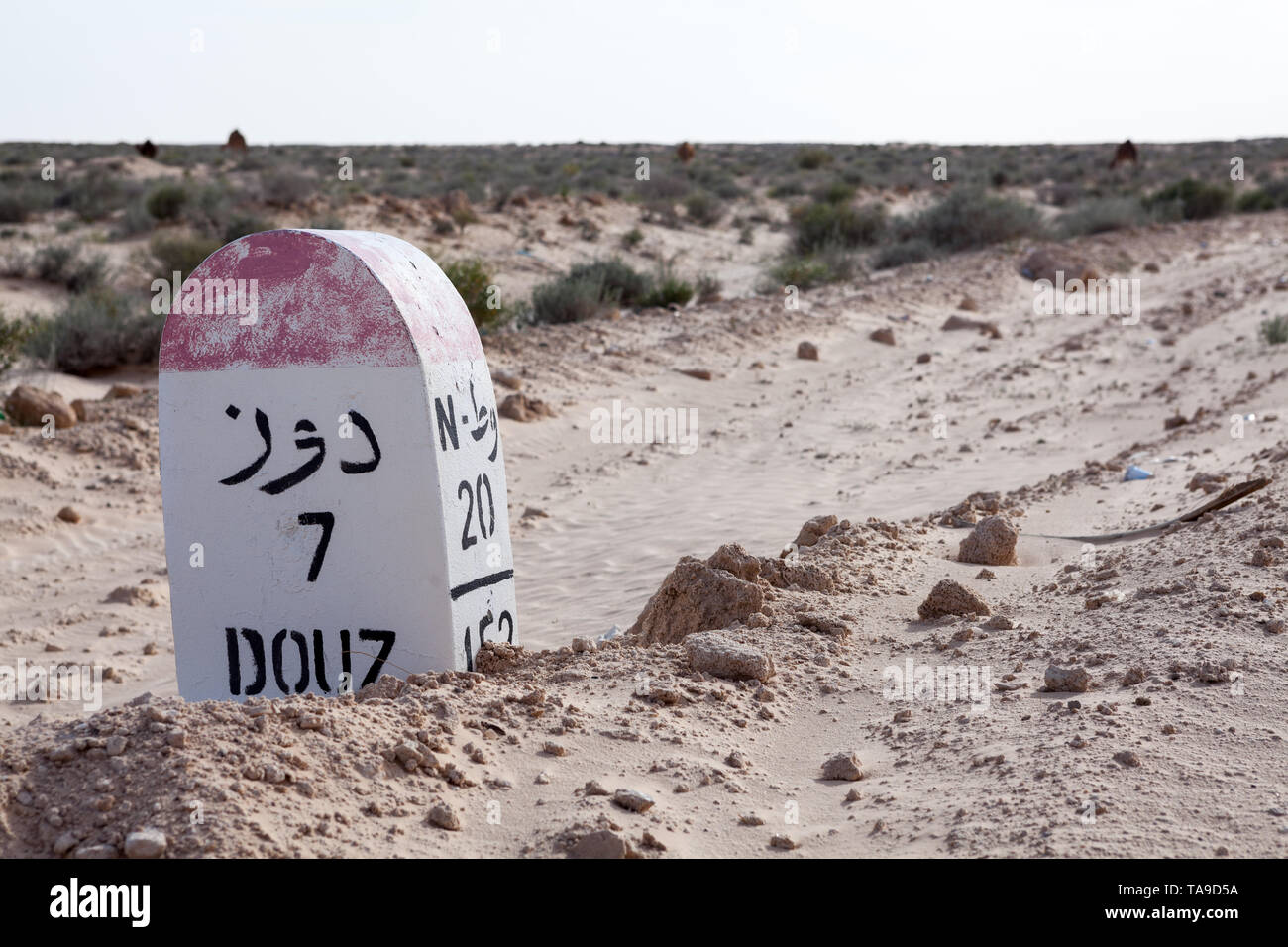 Douz hi-res stock photography and images - Alamy