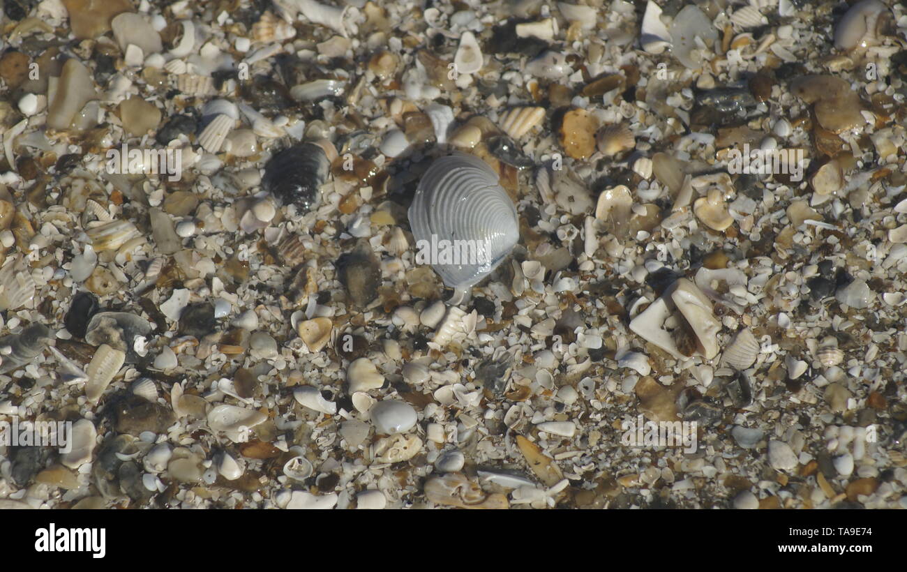 Bolivar peninsula texas hi-res stock photography and images - Alamy