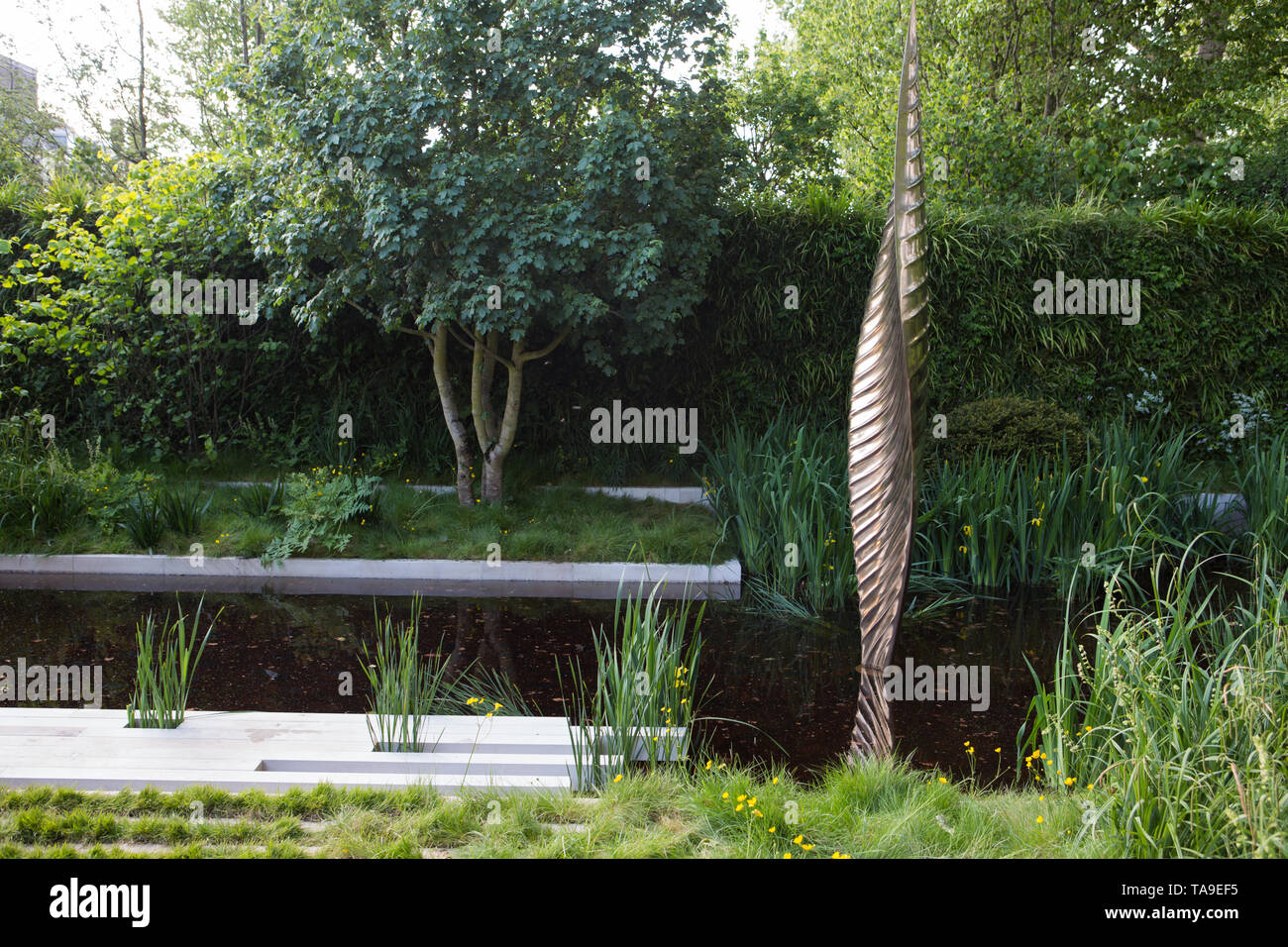 The Savills and David Harber garden Stock Photo - Alamy