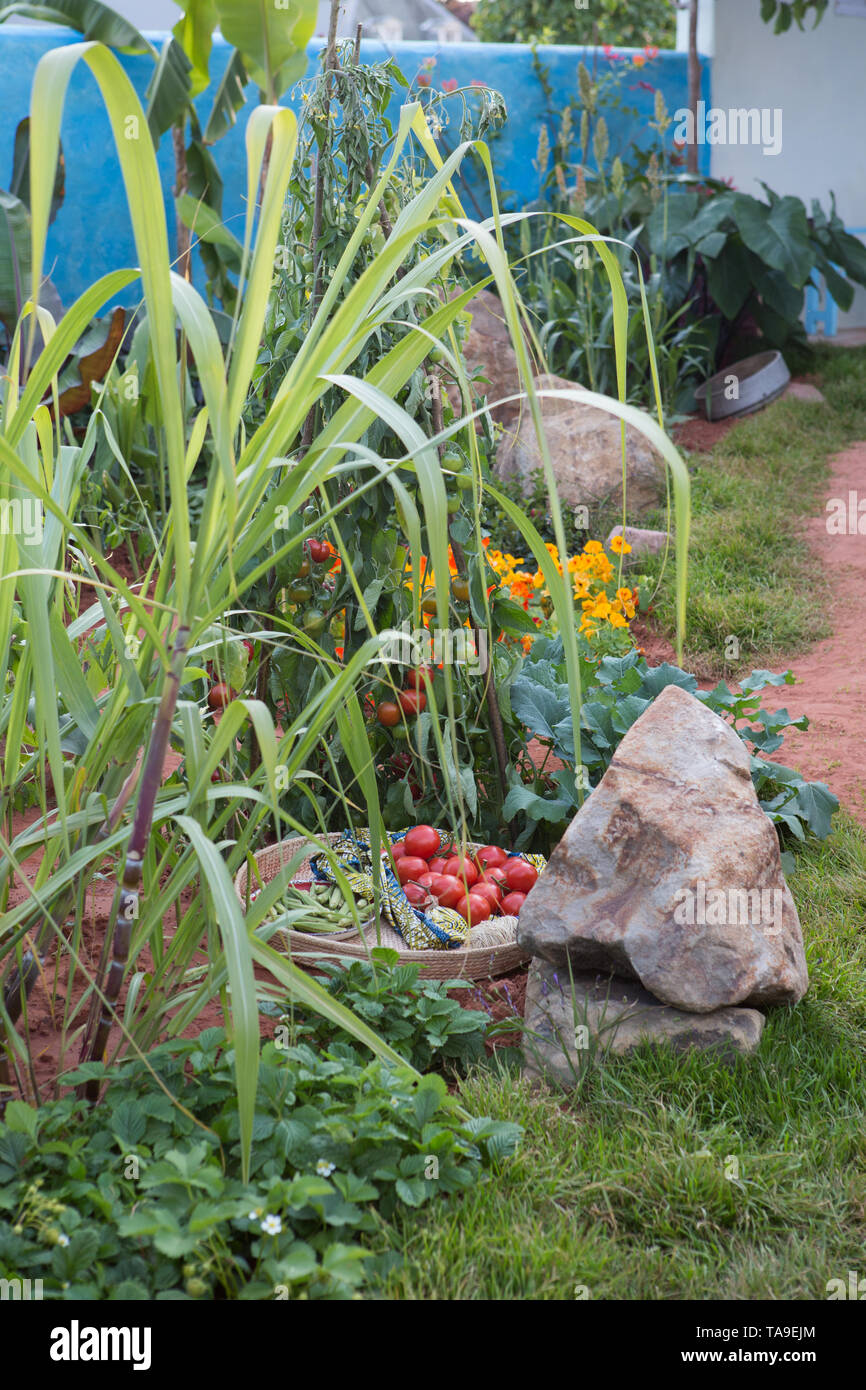 The Camfed garden Stock Photo - Alamy
