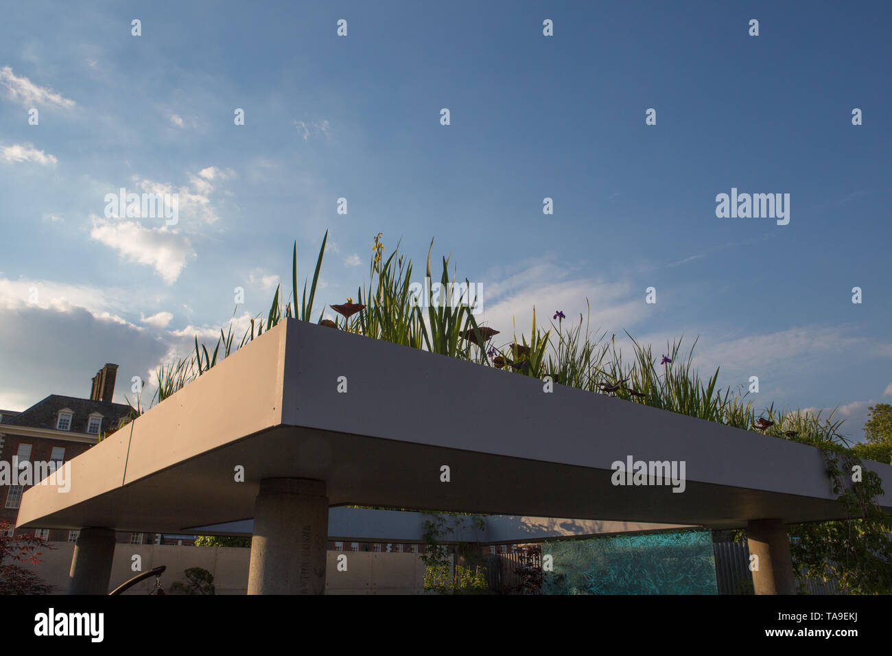 Silent pool gin hi-res stock photography and images - Alamy