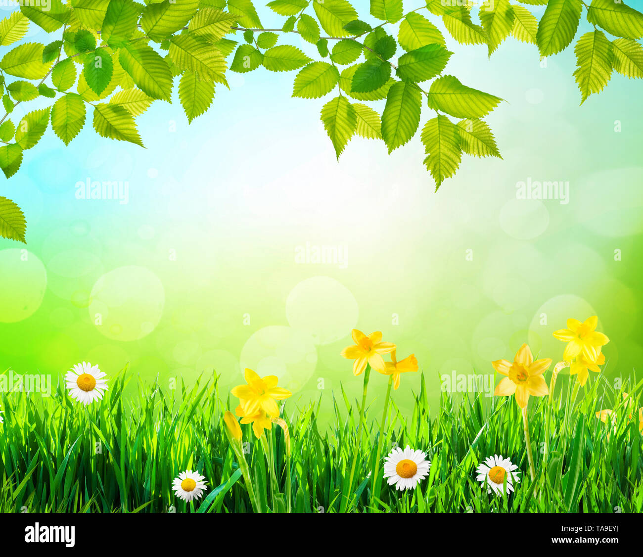 flowers and grass background with tree branch Stock Photo - Alamy