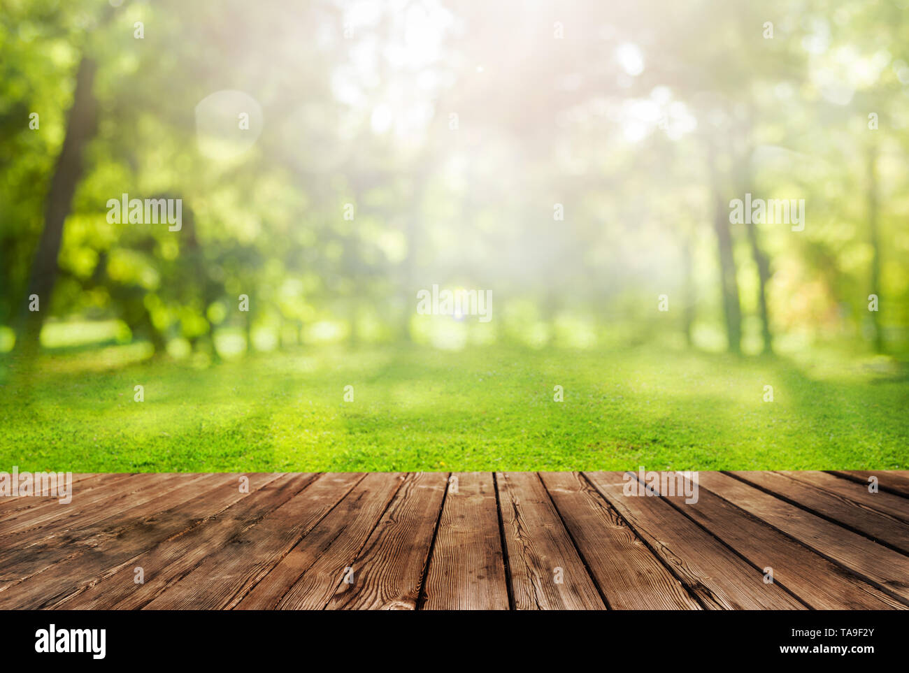 Wooden table and spring forest background Stock Photo - Alamy